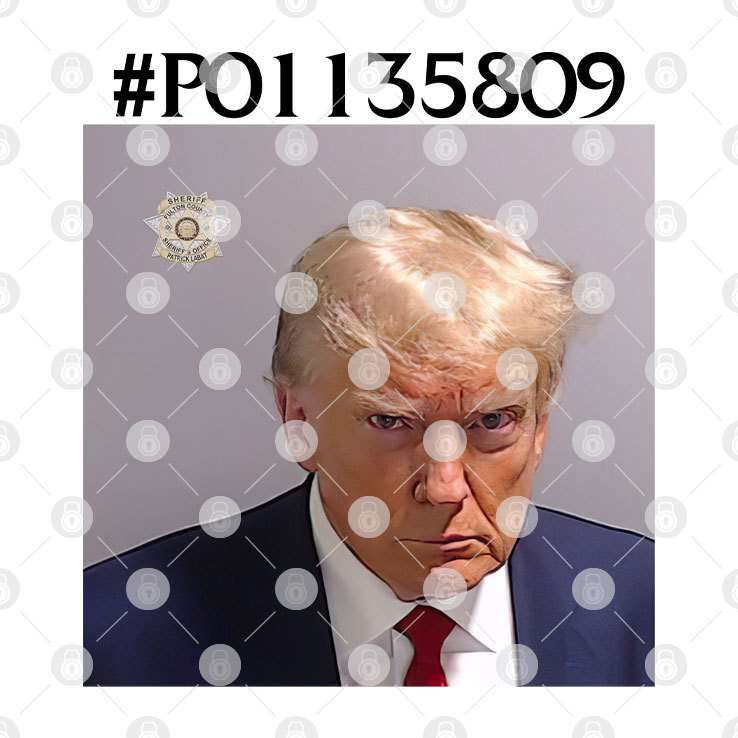 P01135809 Donald Trump Mug Shot Shirt